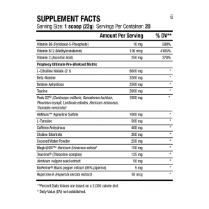 ANS Performance – PROPHECY™ 20serv (440g) (Peach Mango) – Natures Village